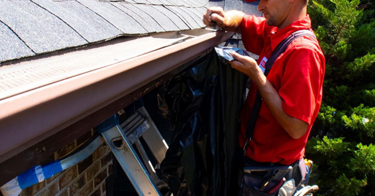 How Often Should You Clean Your Gutters? | Guy Roofing